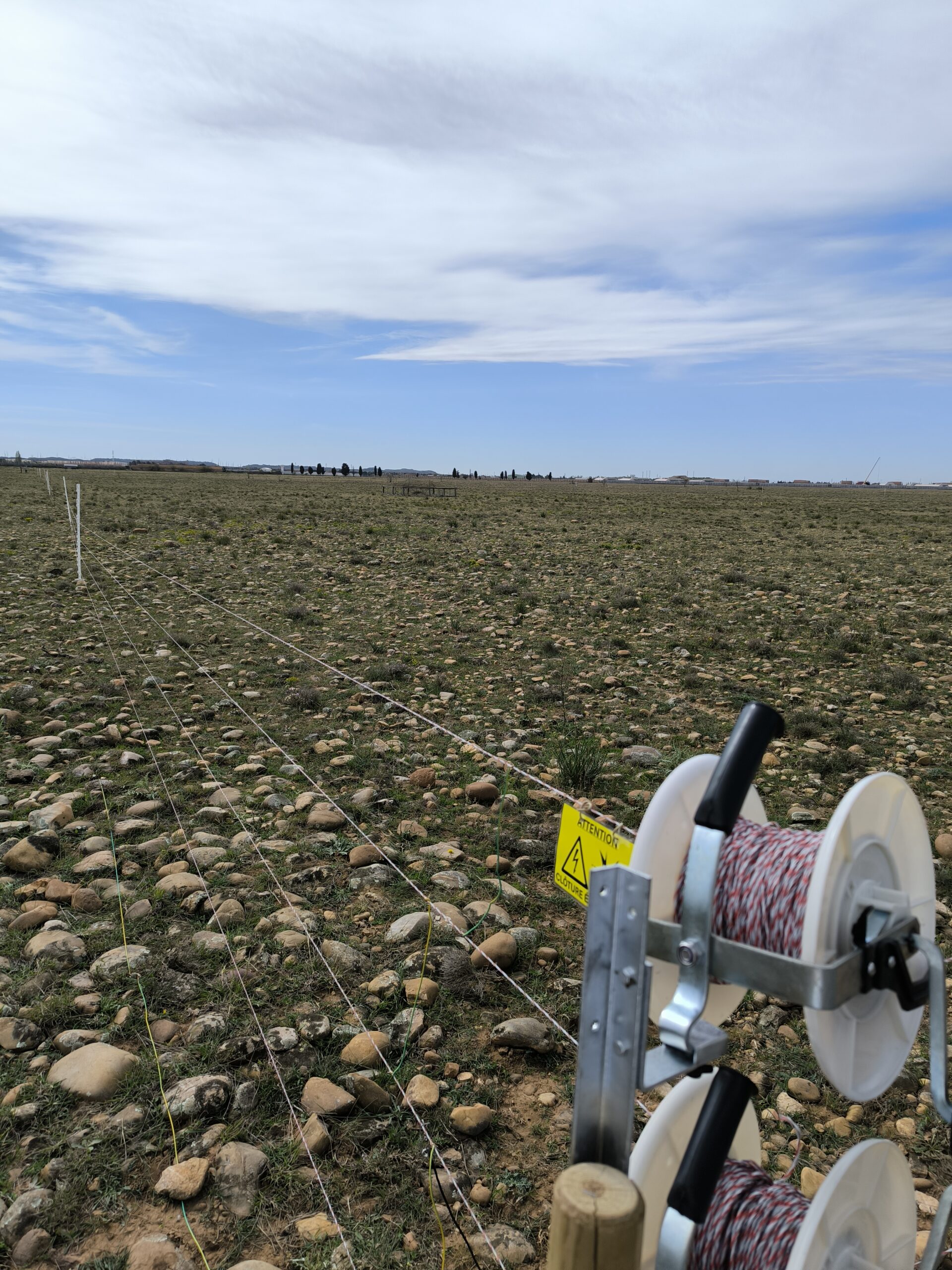 INSTALLATION OF TEMPORARY "GRASSHOPPER PARK" IN THE CRAU ! - Criquet De ...